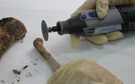 ИНСТИТУТ ГЕНЕТИКИ И ФИЗИОЛОГИИ — www.igph.kz