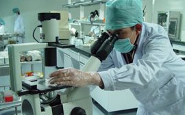 ИНСТИТУТ ГЕНЕТИКИ И ФИЗИОЛОГИИ — www.igph.kz